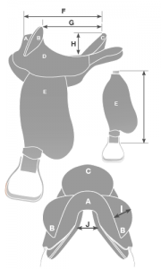 How to measure a Toowoomba Saddlery saddle